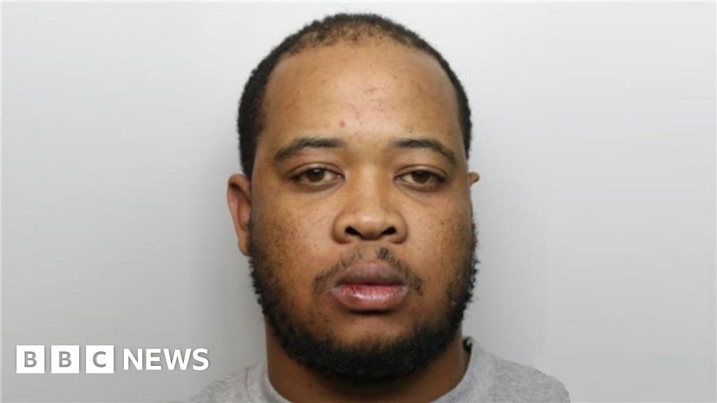 Stoke-on-Trent man who ran over dog and drove into owner jailed - BBC News