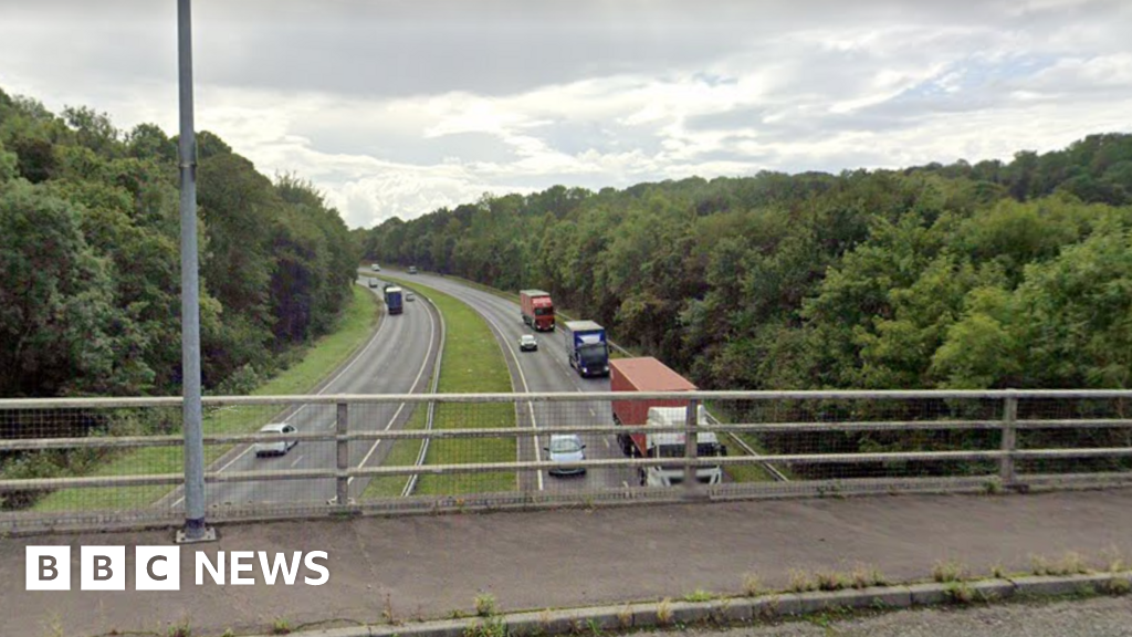 P﻿edestrian dies after hit by vehicle on A483 Wrexham bypass - BBC News