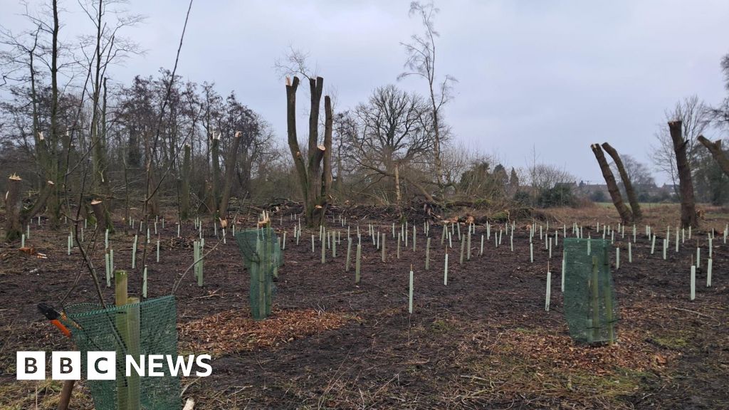 Vandals hit Howden Marsh nature reserve for second time in a week