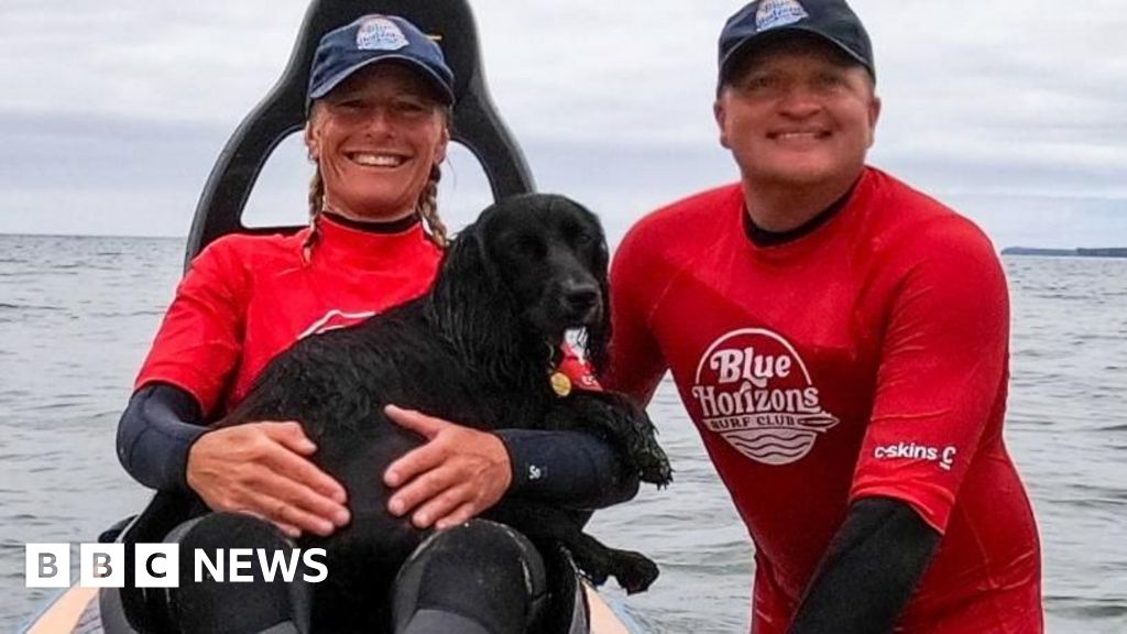 Pembrokeshire: Dog born with six legs starts new life by sea - BBC News