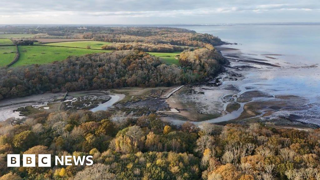 Isle of Wight: Human bone found on shore prompts police search - BBC News
