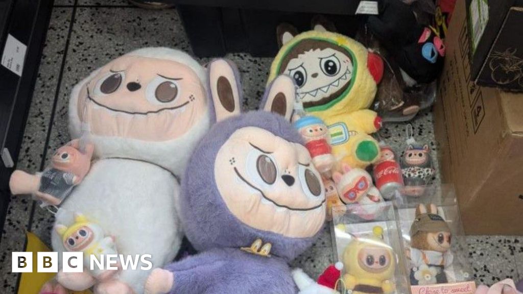 Fake Labubu toys and cigarettes found in Willenhall operation