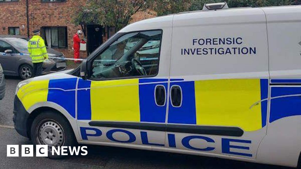 Arson arrest after house fire in Basildon - BBC News