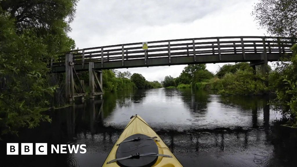 'No swimming' warning as dead swans and fish found in River Stour - BBC ...