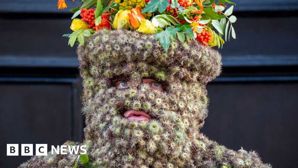 South Queensferry celebrates the Burryman in annual tradition - BBC News