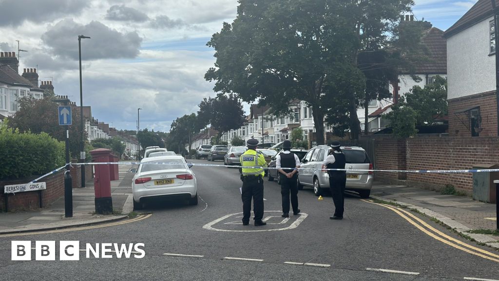 Palmers Green: Murder inquiry after man dies of stab wound