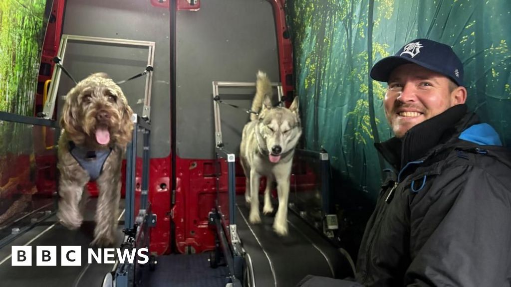 Mobile dog gym in Herefordshire gives exercise lifeline to pets