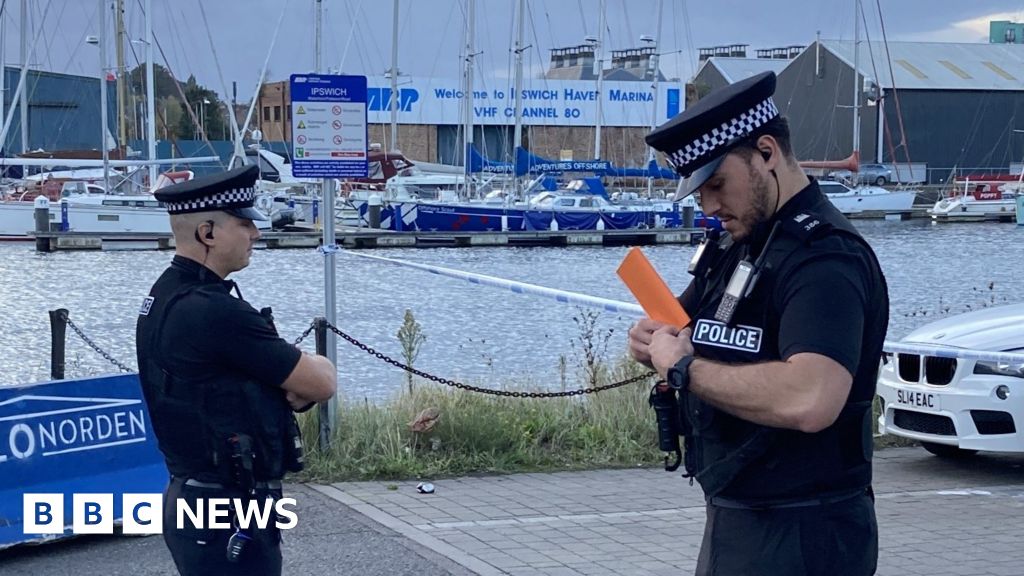 Ipswich: Search at Waterfront after reports person fell in water - BBC News