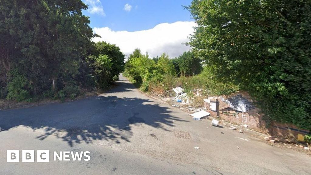 Cleeve Prior housing plan 'could revive dying village' - BBC News