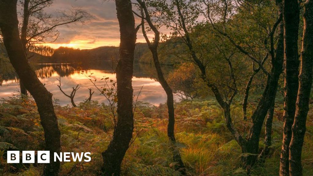 New Galloway national park consultation begins - BBC News