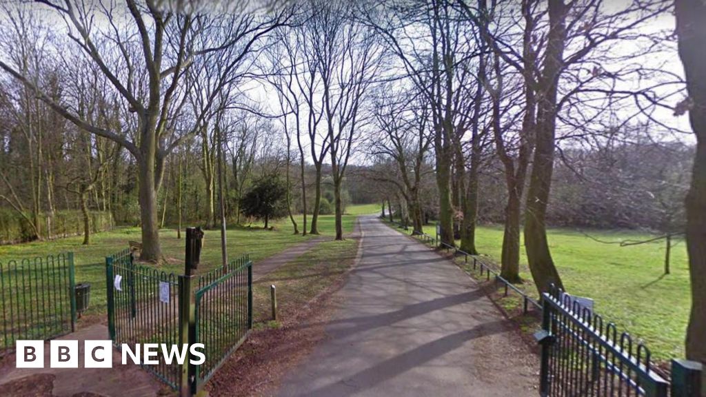 Worksop: Swan dies from 'catastrophic' attack injuries