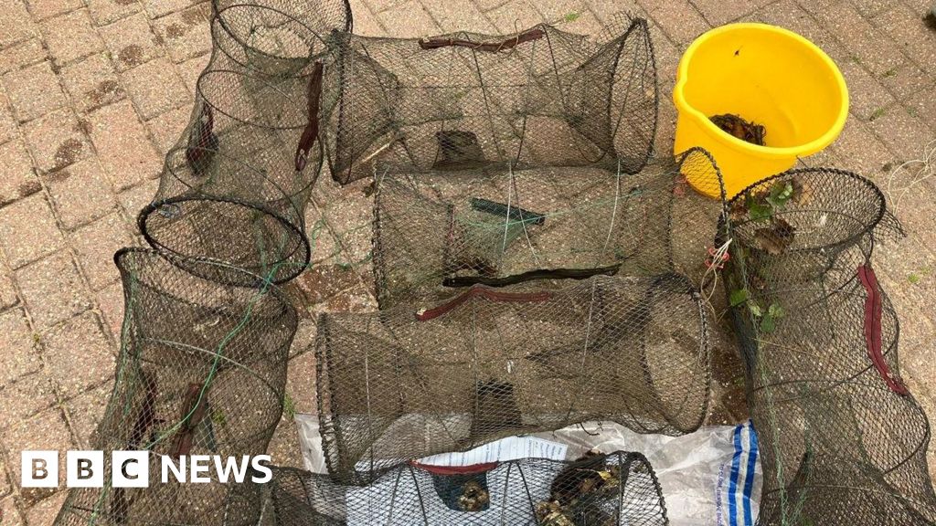 River Tees poachers warning after seven crayfish traps found