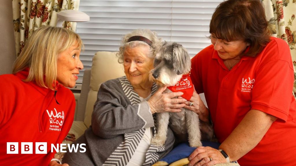Friendship dog charity gains more volunteers after funding boost
