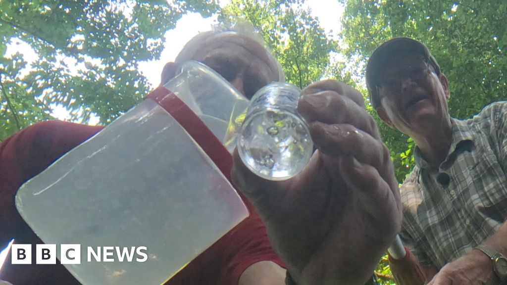 Rivers becoming 'reservoirs of disease' warn Suffolk scientists - BBC News