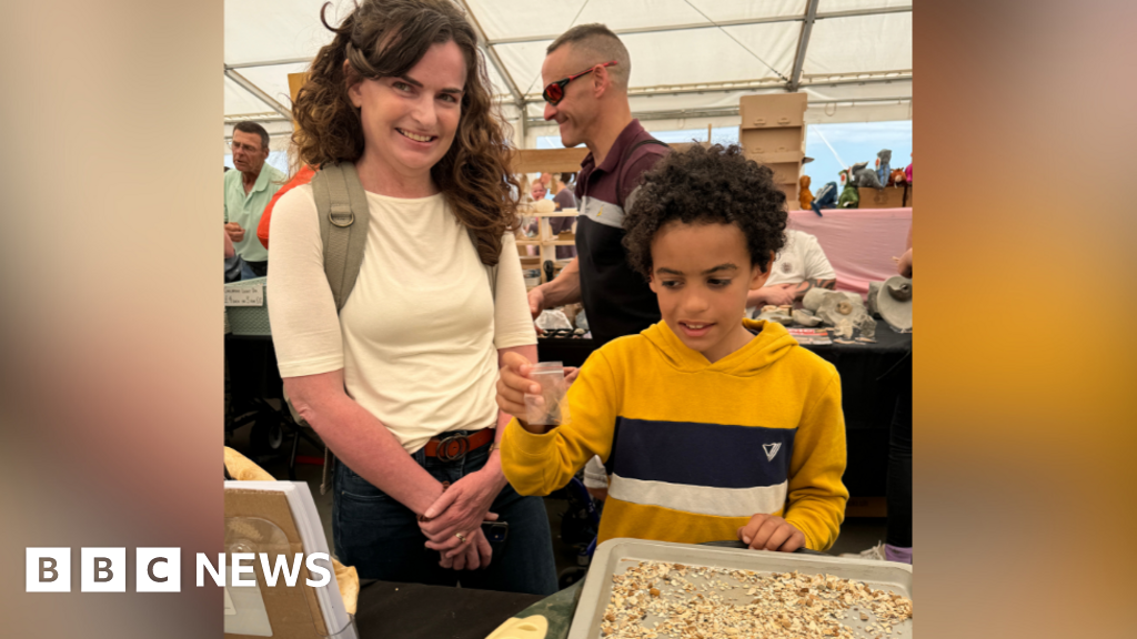 Rare mammal tooth unearthed at Lyme Regis Fossil Festival - BBC News
