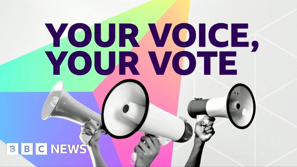 Your Voice, Your Vote: Send us your stories - BBC News