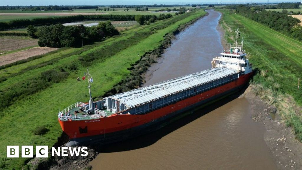 Cargo ship 'wedged' due to pilot overcorrection - report