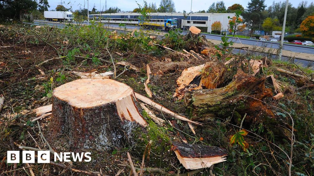 East Kilbride restaurant owners apologise for cutting down trees