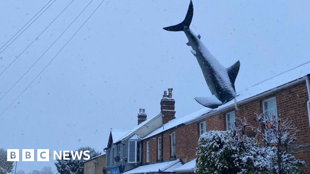 In pictures: Snowy scenes across Oxfordshire