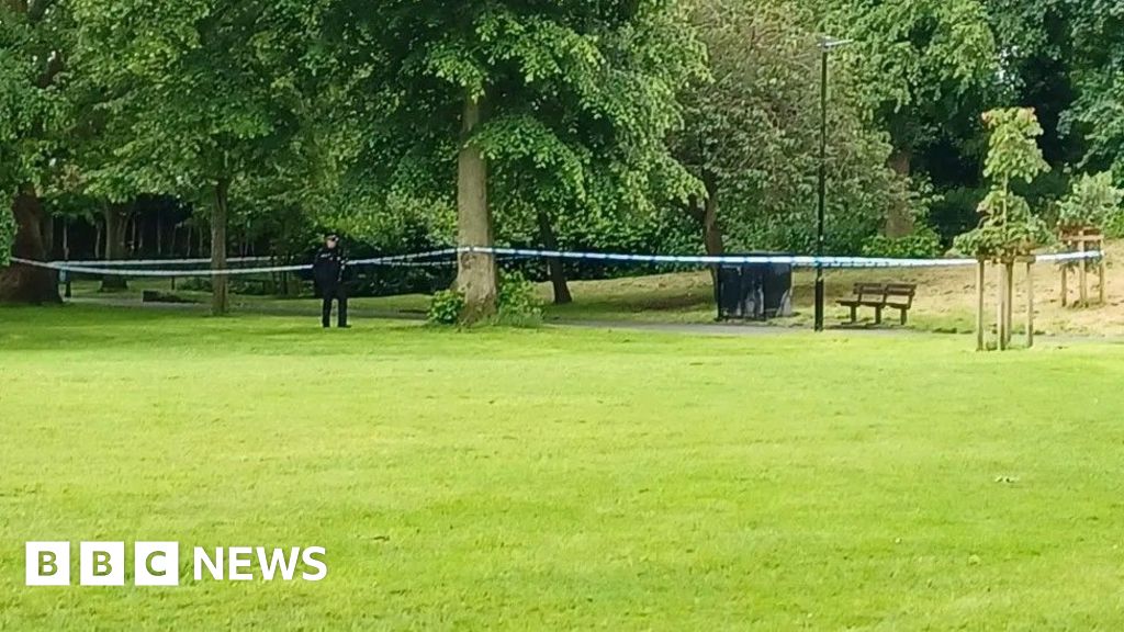 Man pleads not guilty to committing rape in Norwich park - BBC News