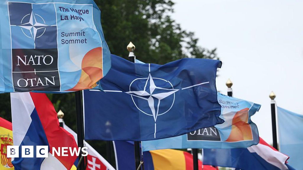 What countries are in Nato and how much do they spend on defence? - BBC News