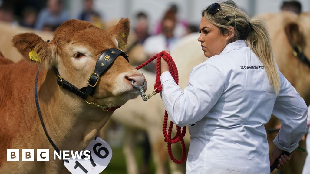Balmoral Show 2024: What you need to know