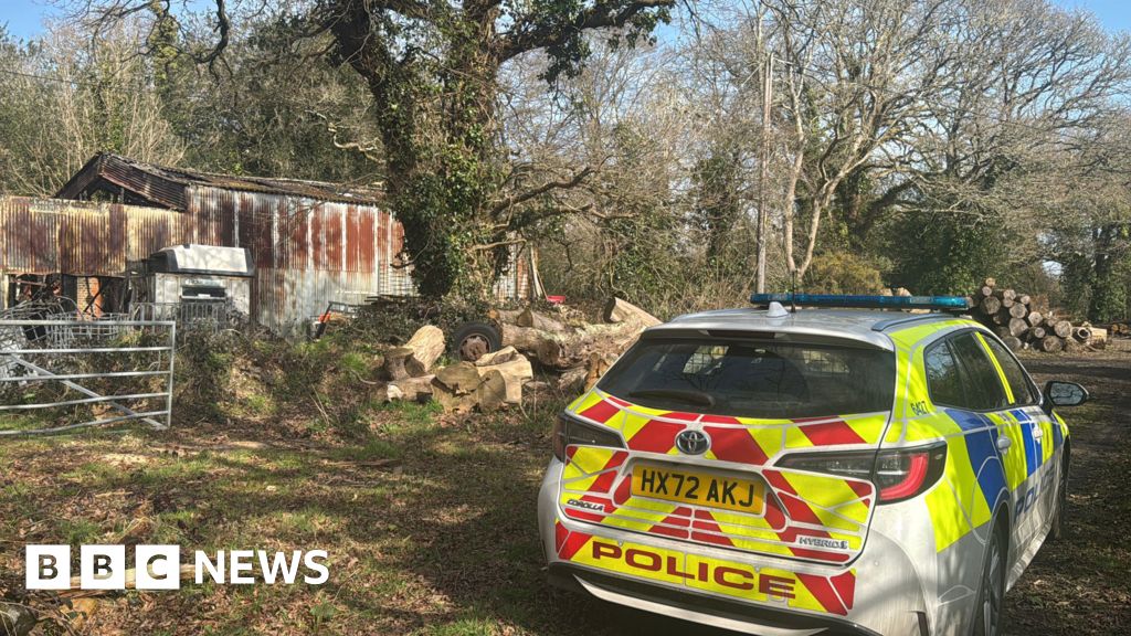 Hampshire: Firefighters tackle blaze at Bransgore sawmill - BBC News