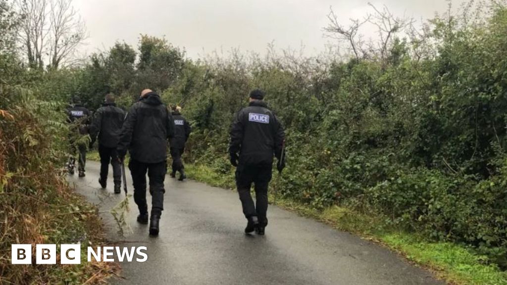 Anne Stacey: More than 150 officers searching for missing woman - BBC News