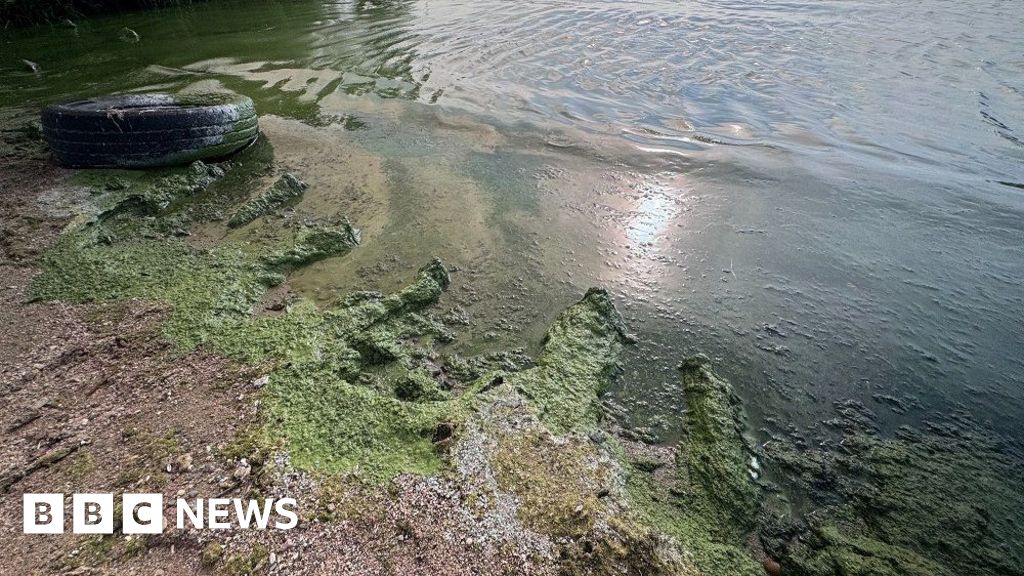Lough Neagh: Blue-green algae back as Earl meets minister - BBC News
