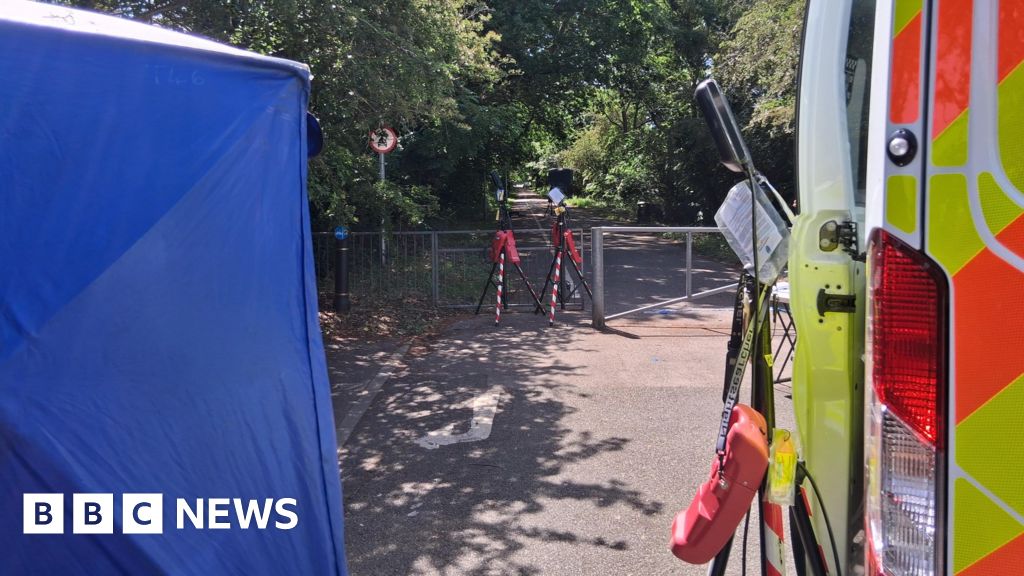 Teenager arrested after man dies following stabbing in Reading