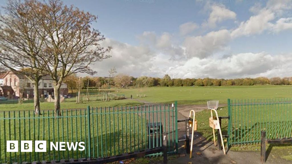 Boys discover loaded sawn-off shotgun on playing field