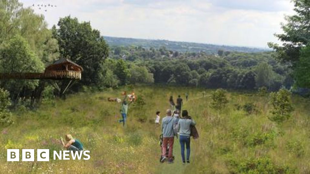Allestree Park: Next steps for UK's largest urban rewilding project ...