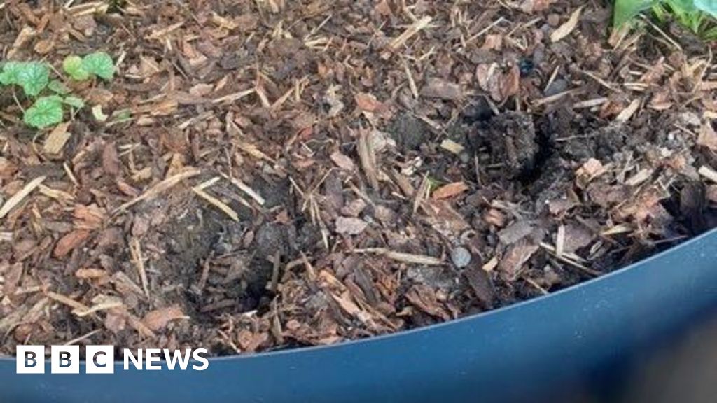 Vandals repeatedly target Redditch community event space - BBC News