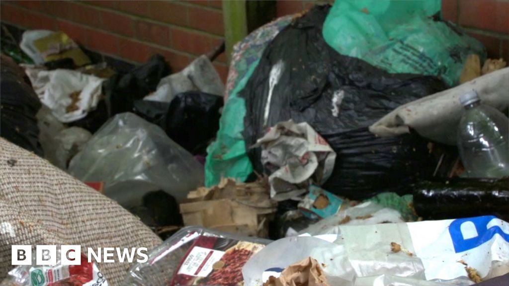 Cardiff litter: Resident describes 'nightmare' fly-tipping issue - BBC News
