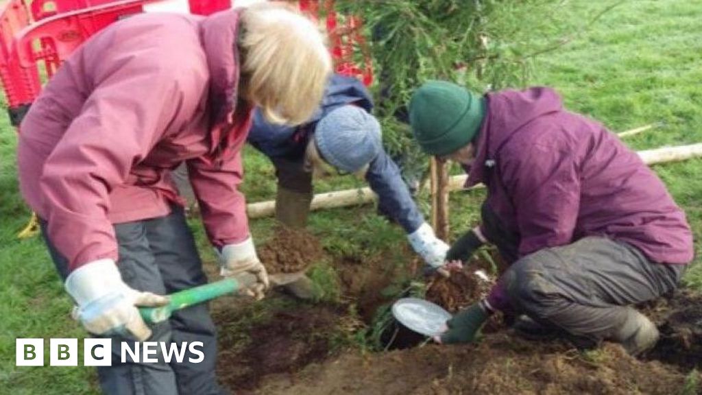 Trees and hedgerows planted on Isle of Wight