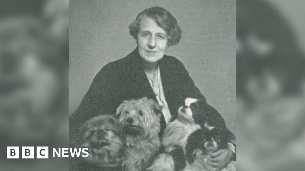 Somerset animal sanctuary 'proud' 85 years after it was first set up ...