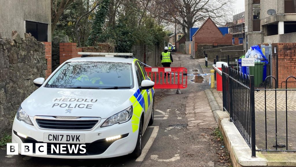 Cardiff: Man, 29, in court charged with rape in Pontcanna - BBC News
