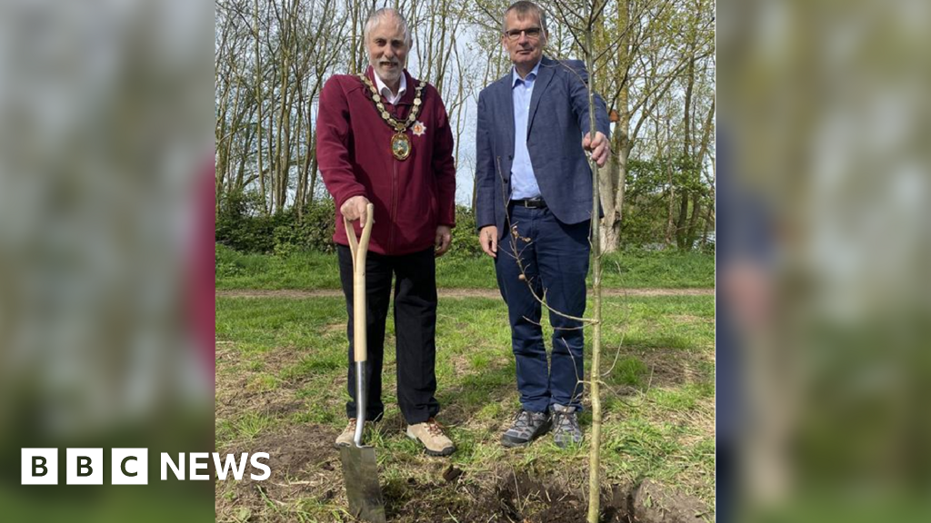 North Kesteven council plants first of 50 trees to mark 50th year - BBC ...