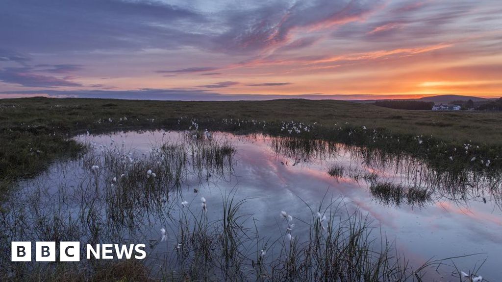 Flow Country Unesco World Heritage bid expected for 2023