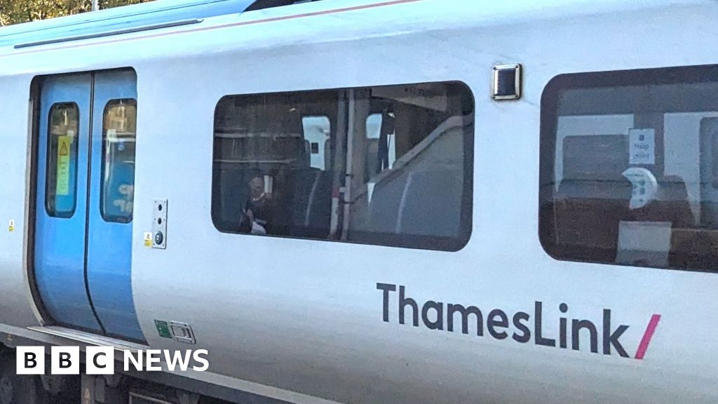 Thameslink rail line facing delays after person hit by train