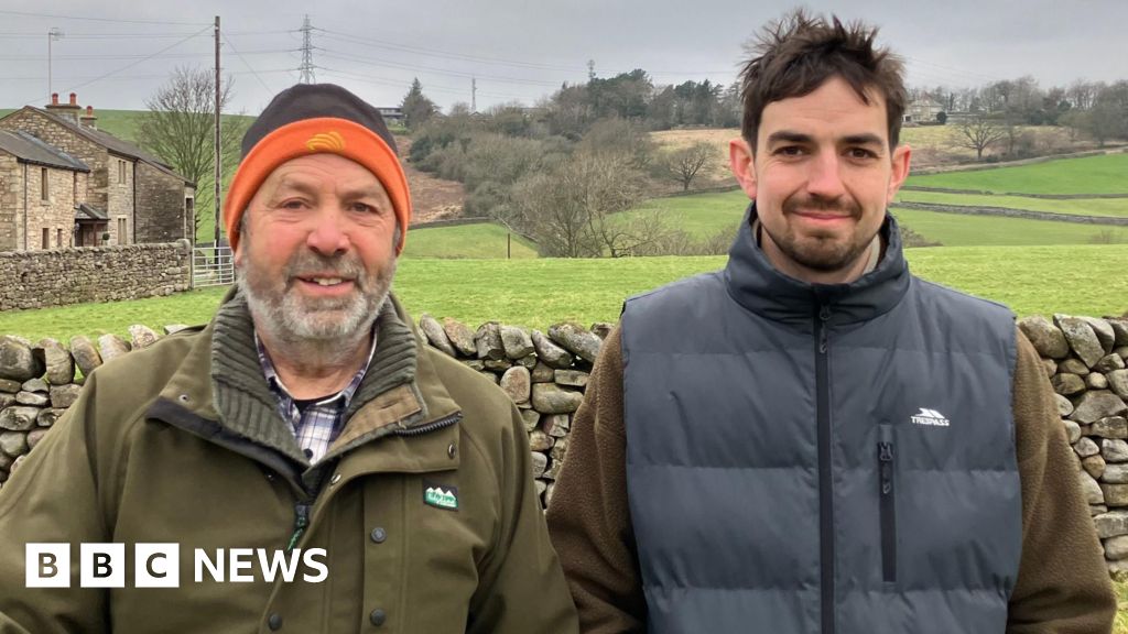 'We train people and their dogs to herd sheep'