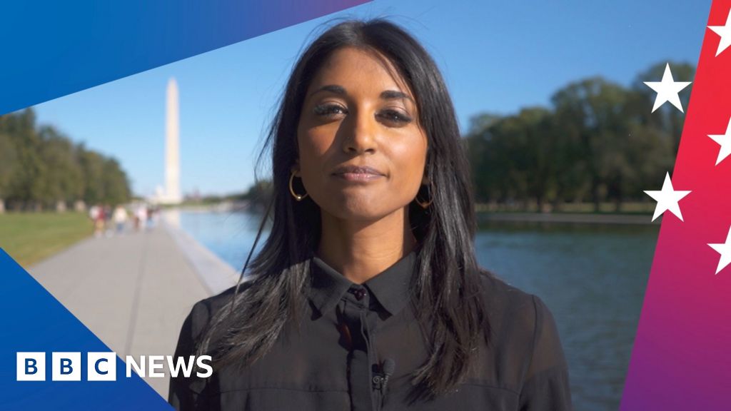 US election 2024: How long could it be until we know the result? - BBC News