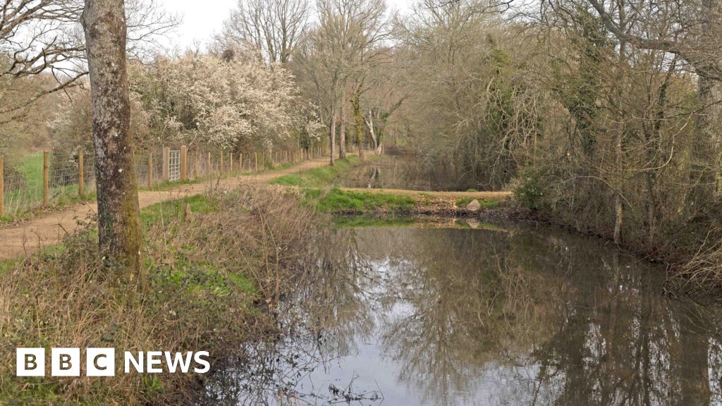 Wey and Arun Canal restoration a step closer following purchase - BBC News