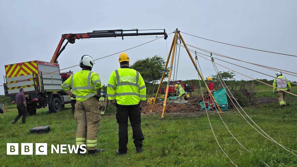 Cow rescued from mine shaft by firefighters in Cornwall - BBC News