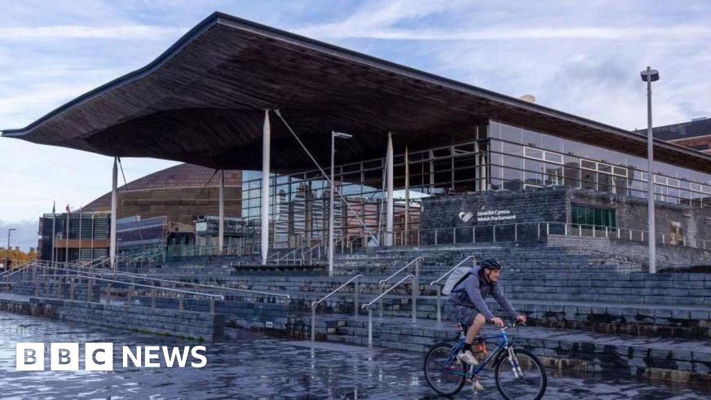 New Senedd seats to have Welsh-only names 'where possible' - BBC News