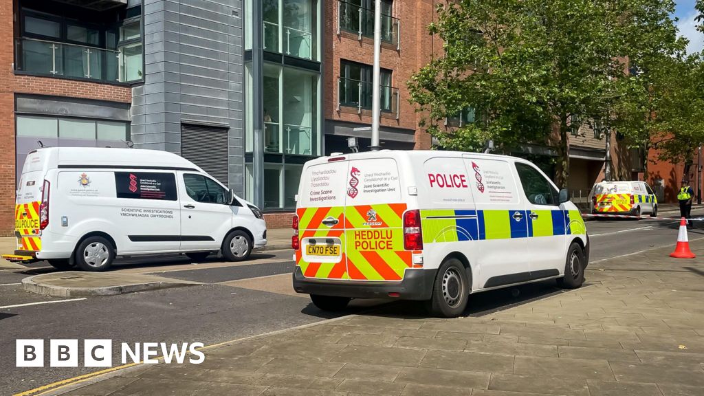 Swansea: Assault leaves man with life-threatening injuries - BBC News