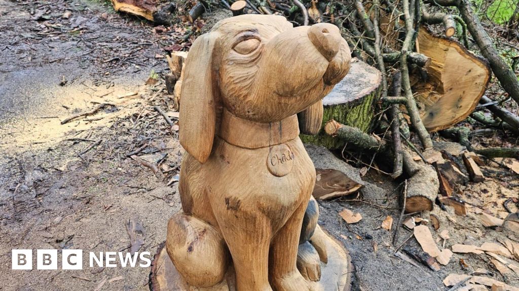 Chaddesden: Damaged tree turned into dog sculpture - BBC News