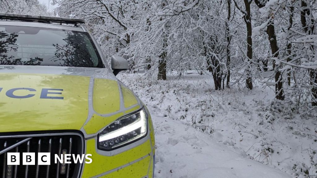 Snow in Essex prompts 690 emergency police calls in four hours - BBC News