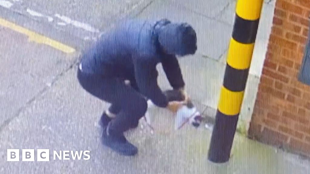 Instagram video shows cat in London hiding under van for 10 hours
