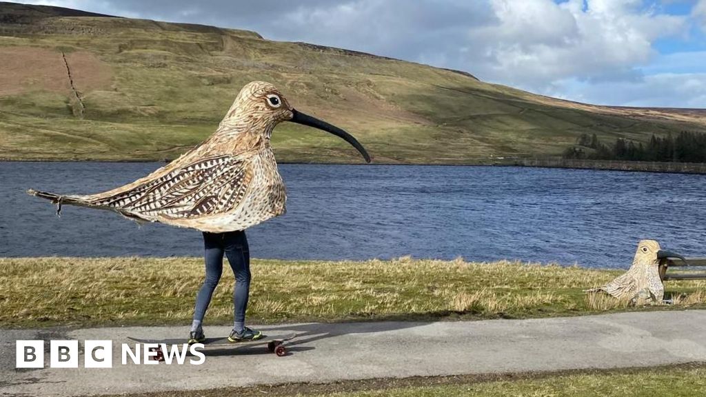 Curlew crusader Matt Trevelyan embarks on Three Peaks challenge